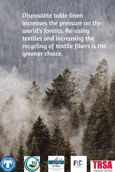 Why do textiles win in the long run? A thought provoking analysis. Why ...